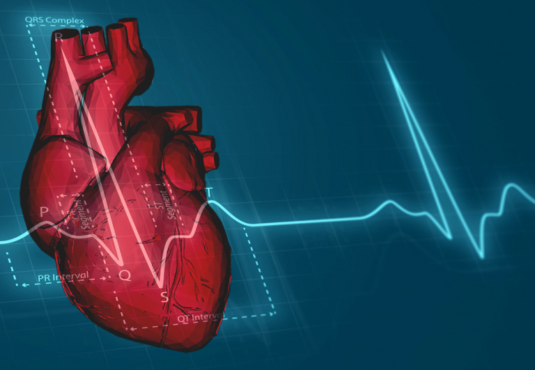 Panel Cardíaco - Corporación Analyticos, S. A.